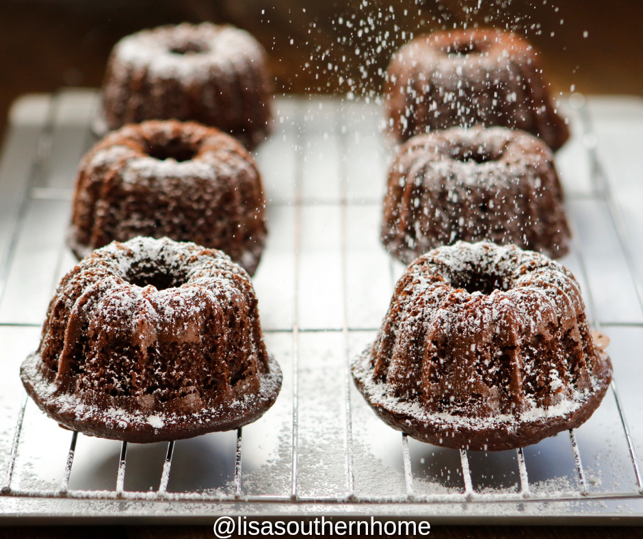 Mini Chocolate Bundt Cake – Lisa's Southern Kitchen